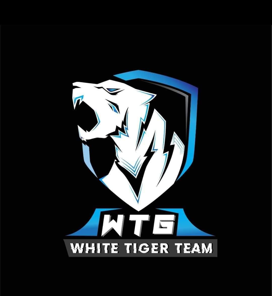 WTG | E-Sports Arena