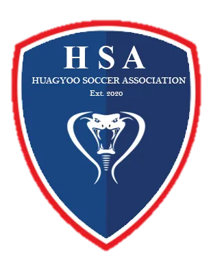 DUELIST HSA | E-Sports Arena